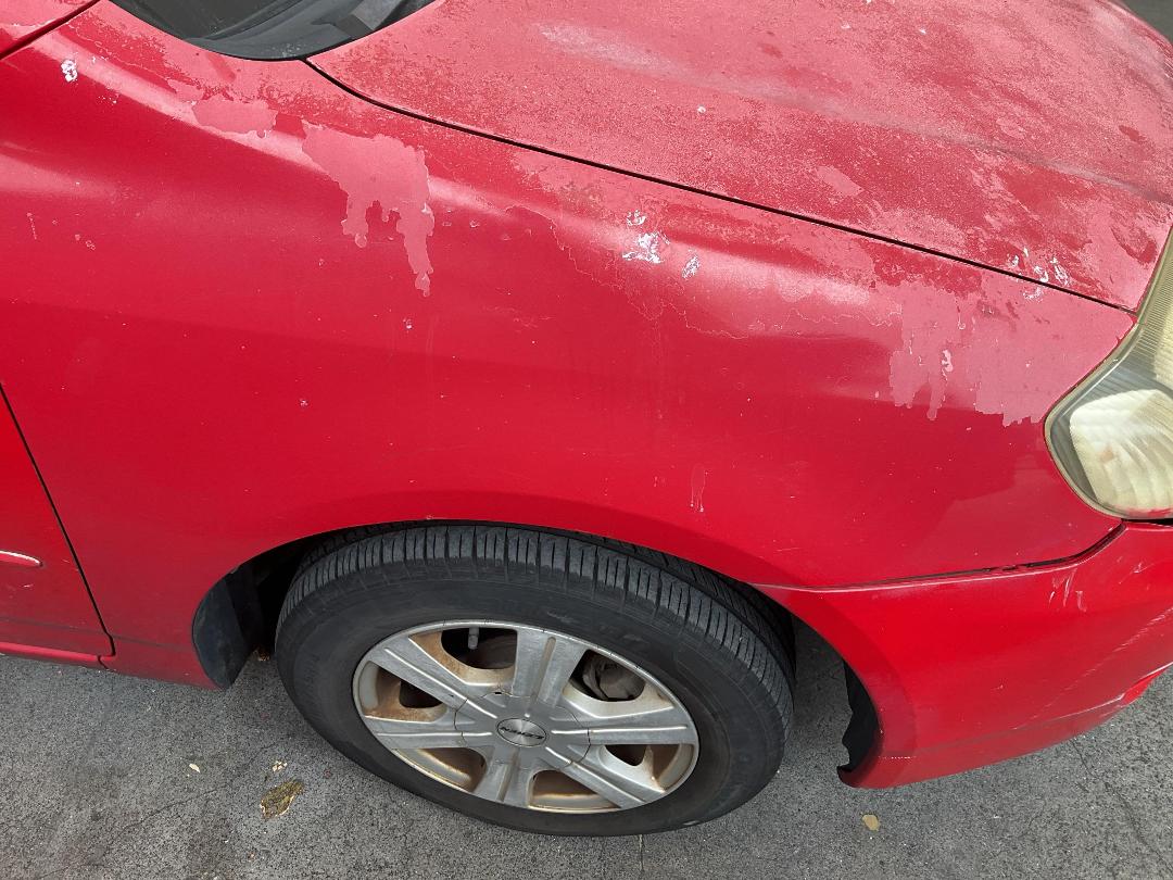 Damaged Toyota Corolla Fielder X 2004 in Wiri | at Turners Damaged and ...