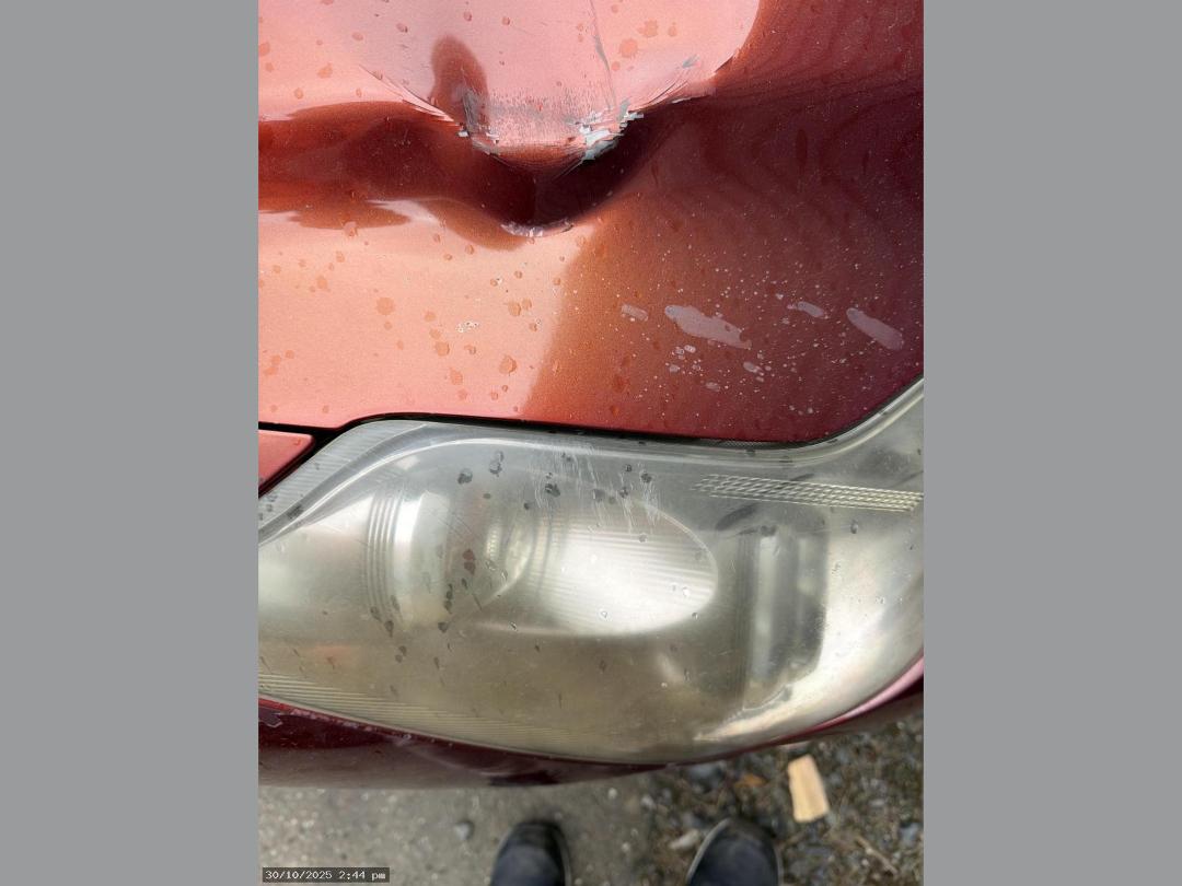 Damaged Toyota Blade 2007 in Christchurch – Bromley | at Turners ...