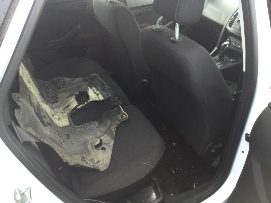 Damaged Ford Focus Ambiente Wagon 2017 in Whangarei | at Turners ...