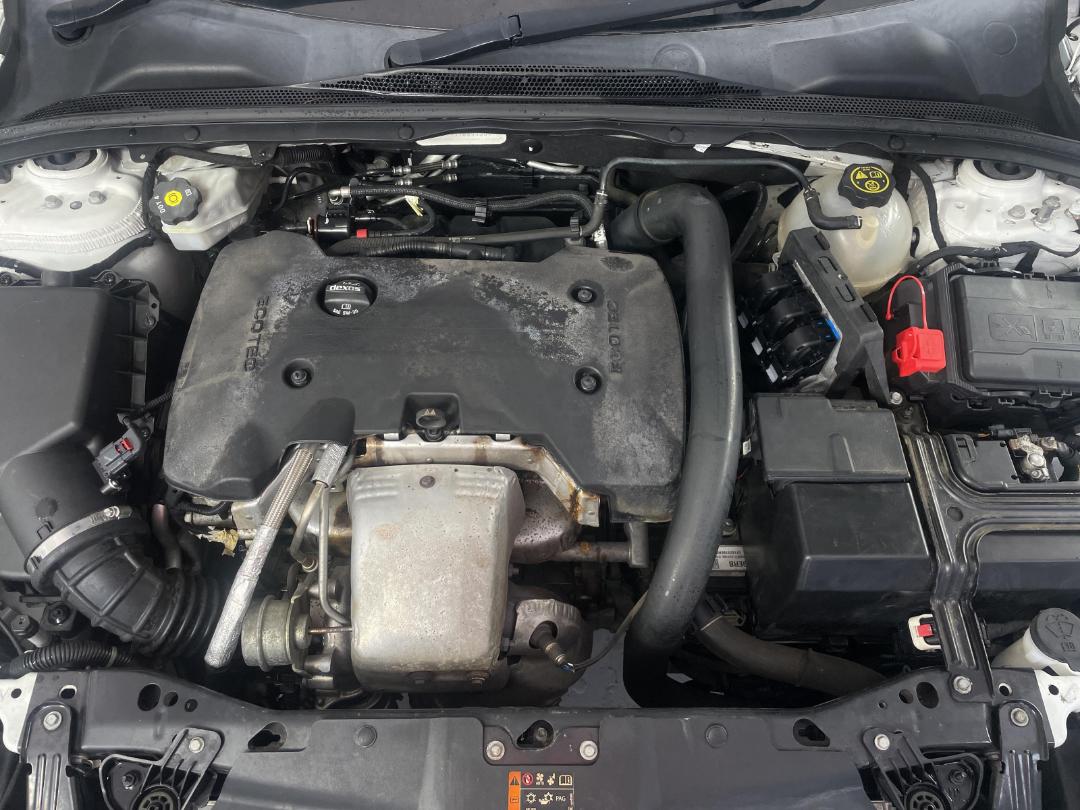 Used Holden Commodore LT 2019 | Westgate | at Turners Cars | 25958007 ...