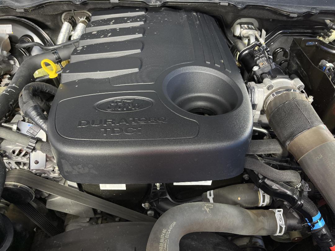 Used Ford Ranger XLT Double CAB W/SA 2020 | Dunedin | at Turners Cars ...