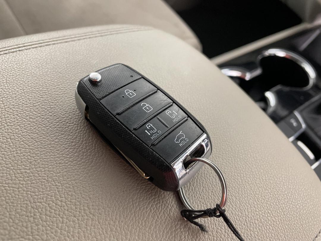 Used KIA Carnival EX 2020 | Palmerston North | at Turners Cars ...