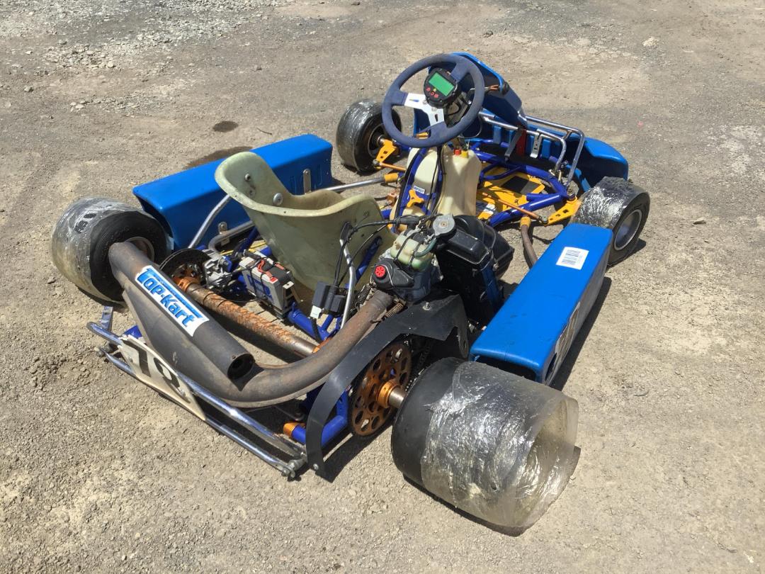 Great Deal On Top Kart 2stroke Racing GO-KART, Rotax 125cc (Senior ...